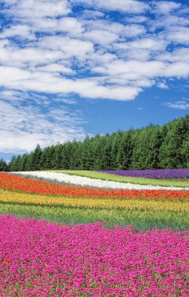 Nature Photography Inspiration | 30 Pictures - Doozy List