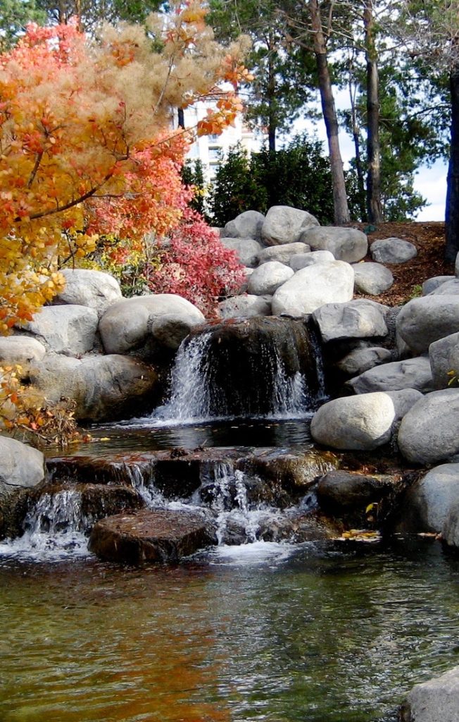 Nature Photography Inspiration | 30 Pictures - Doozy List