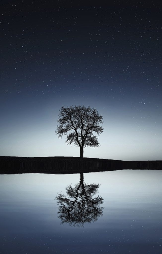 Nature Photography Inspiration | 30 Pictures - Doozy List