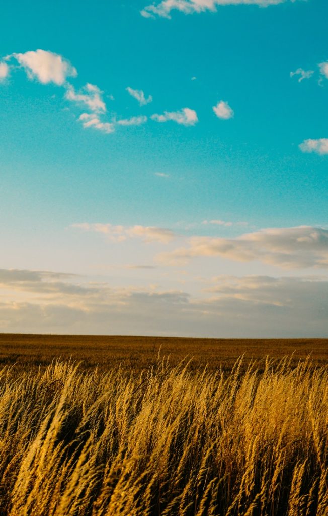 Nature Photography Inspiration | 30 Pictures - Doozy List