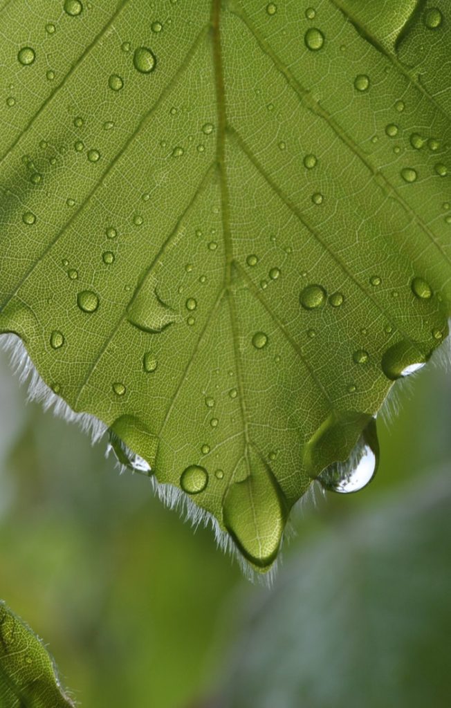 Nature Photography Inspiration | 30 Pictures - Doozy List