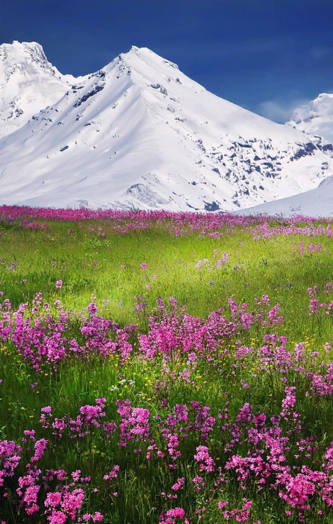 Nature Photography Inspiration | 30 Pictures - Doozy List