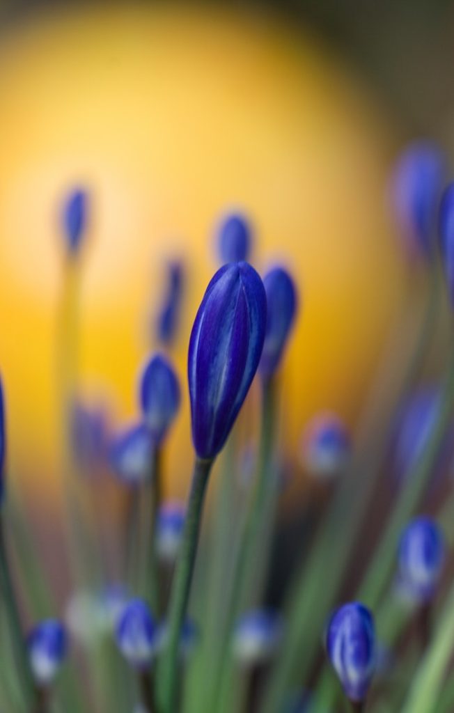 Random Inspiration | Blue | 37 Pics - Doozy List