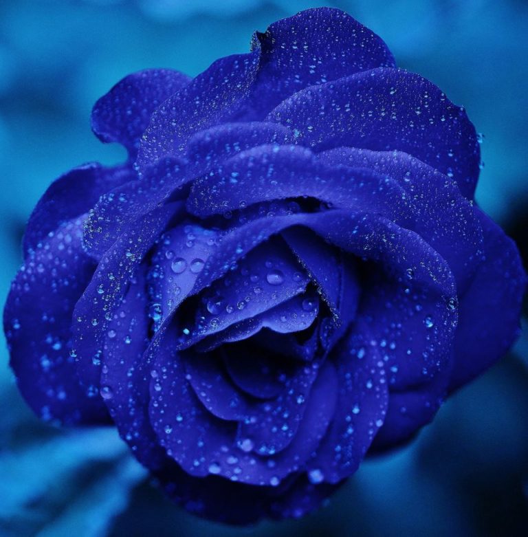 Random Inspiration | Blue | 37 Pics - Doozy List