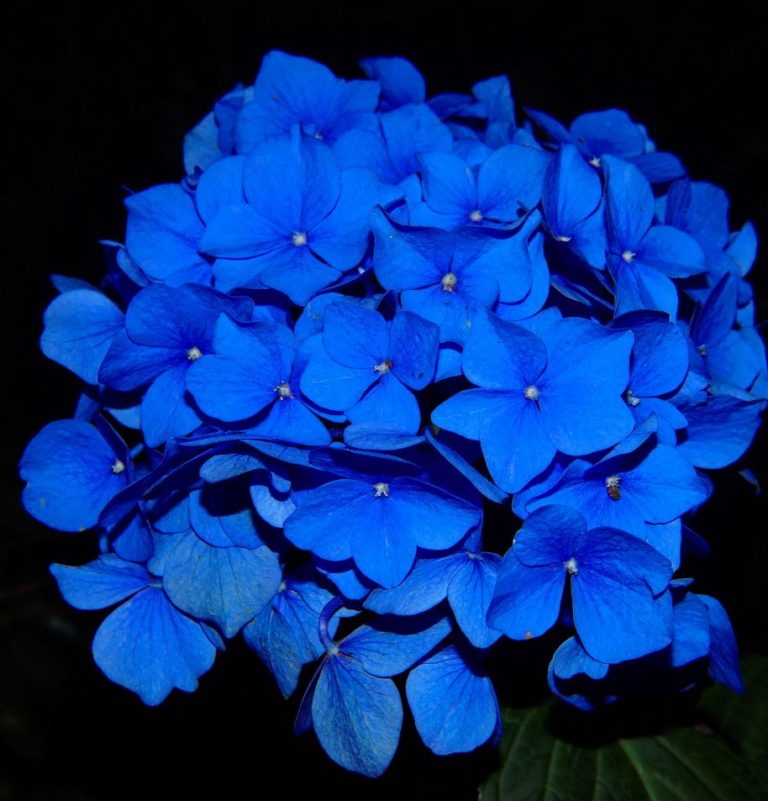 Random Inspiration | Blue | 37 Pics - Doozy List