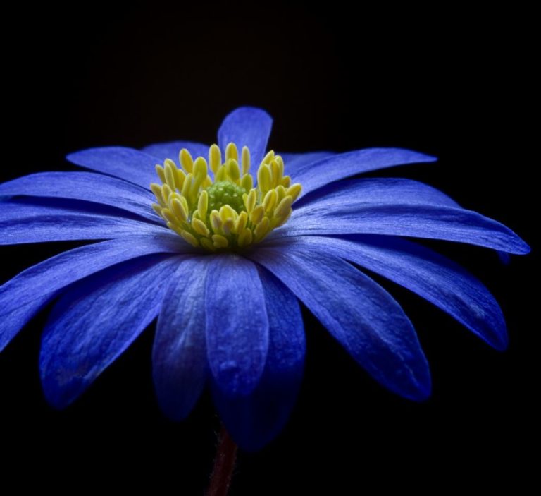 Random Inspiration | Blue | 37 Pics - Doozy List