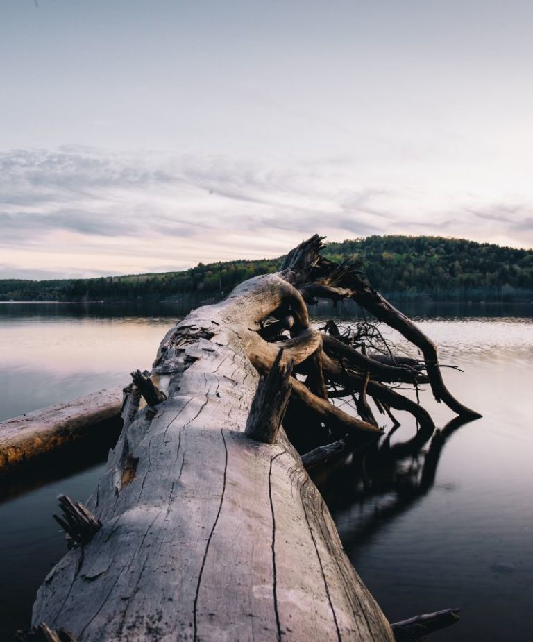 100 The Most Beautiful Collection of Nature Photography - Doozy List