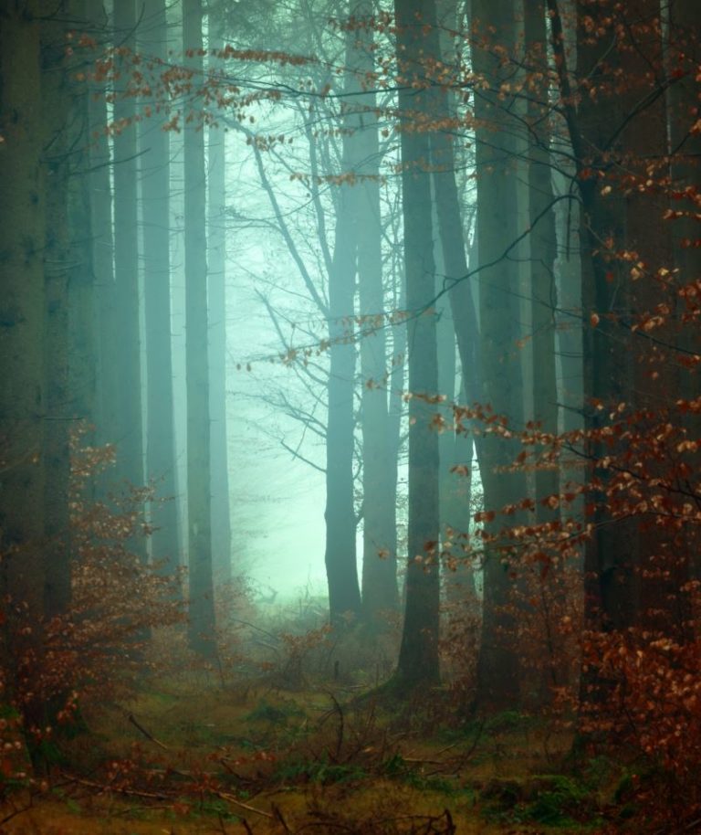 100 The Most Beautiful Collection of Nature Photography - Doozy List