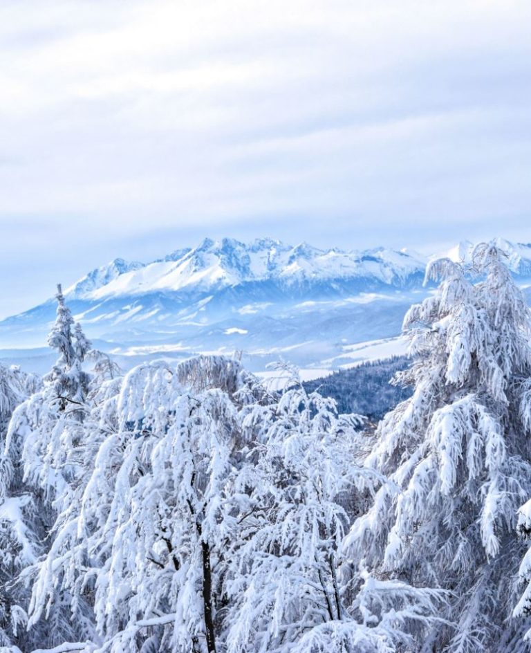 100 The Most Beautiful Collection of Nature Photography - Doozy List