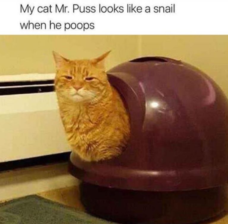 42 Funny Pictures Of The Week - Doozy List