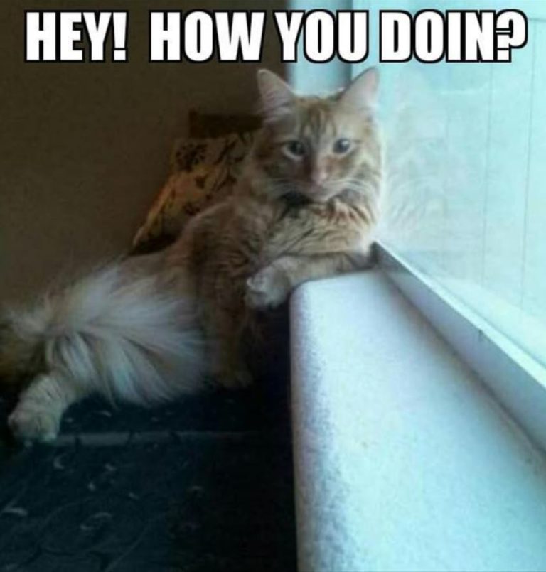 42 Funny Pictures Of The Week - Doozy List