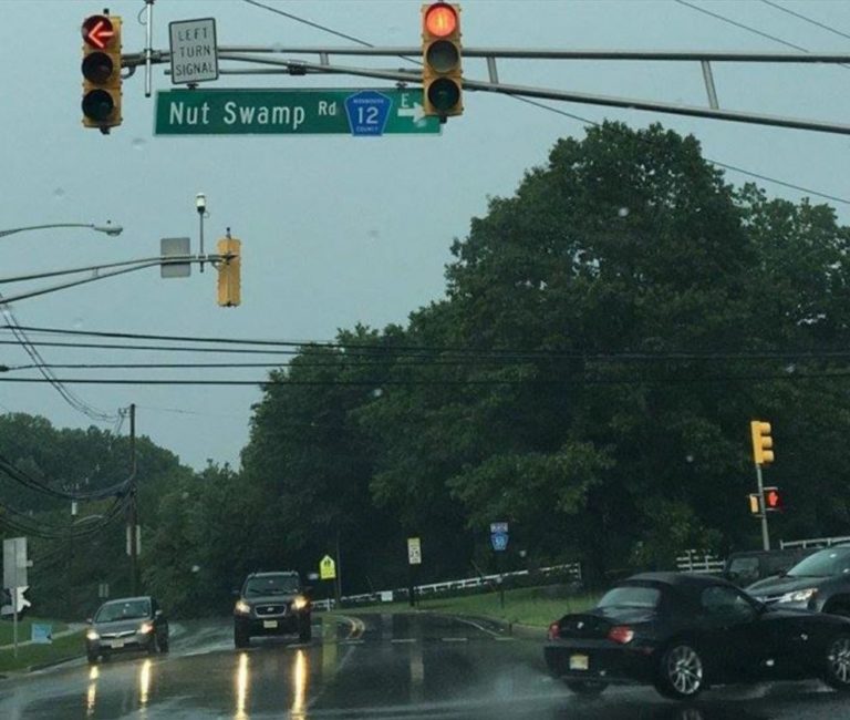 42 Funny Pictures Of The Week - Doozy List